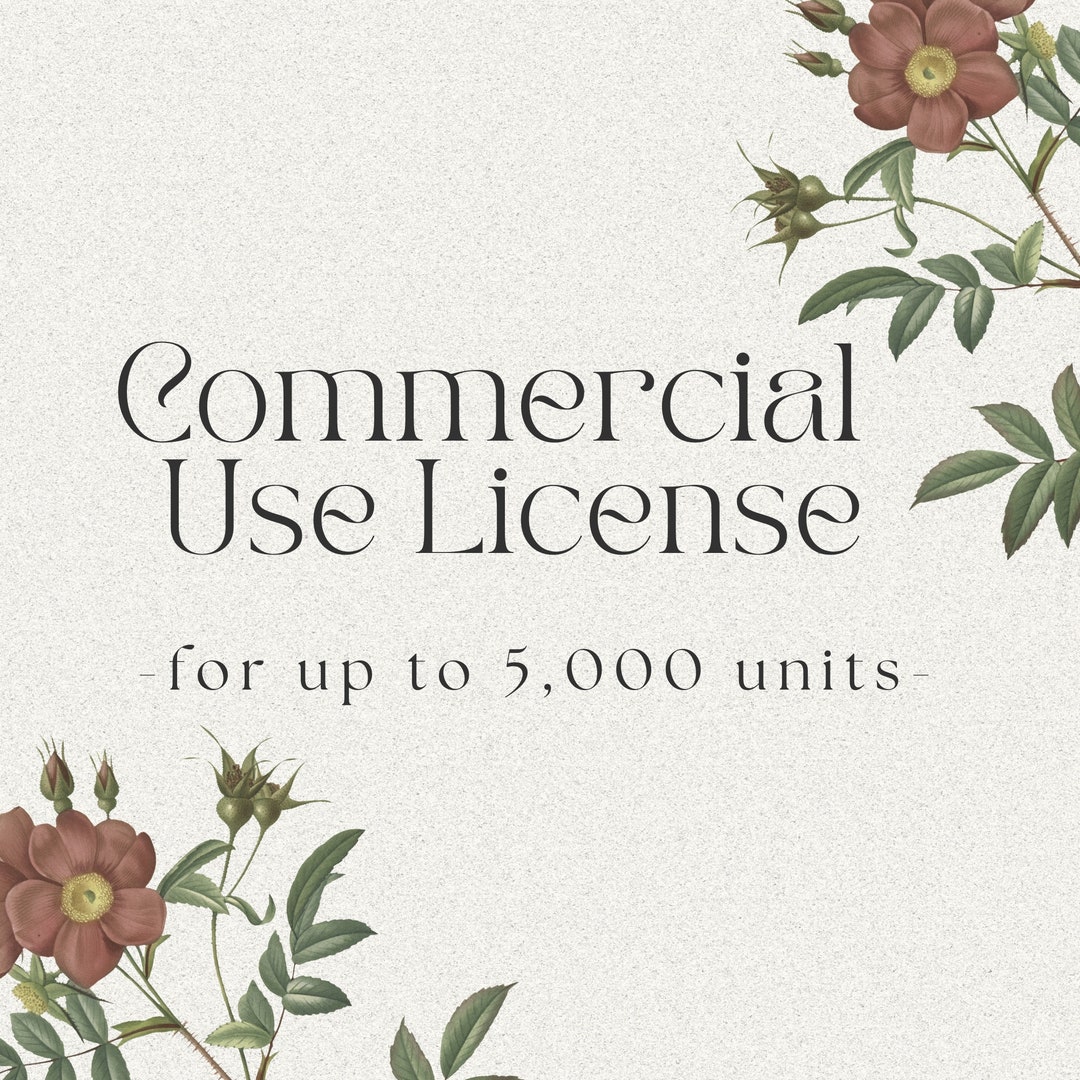 Commercial Use License for Sell up to 5000 Units, BUNNYXART SHOP - Etsy