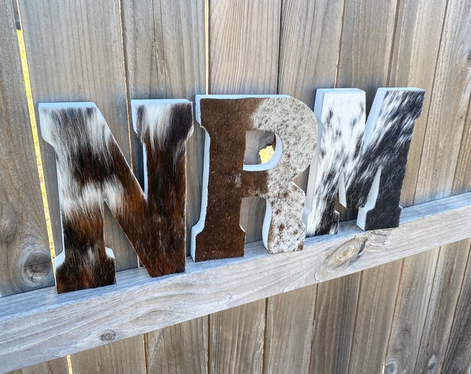 Cowhide Letter, Home Decor, Western, Rodeo, Cowgirl, Cattle, Initial ...