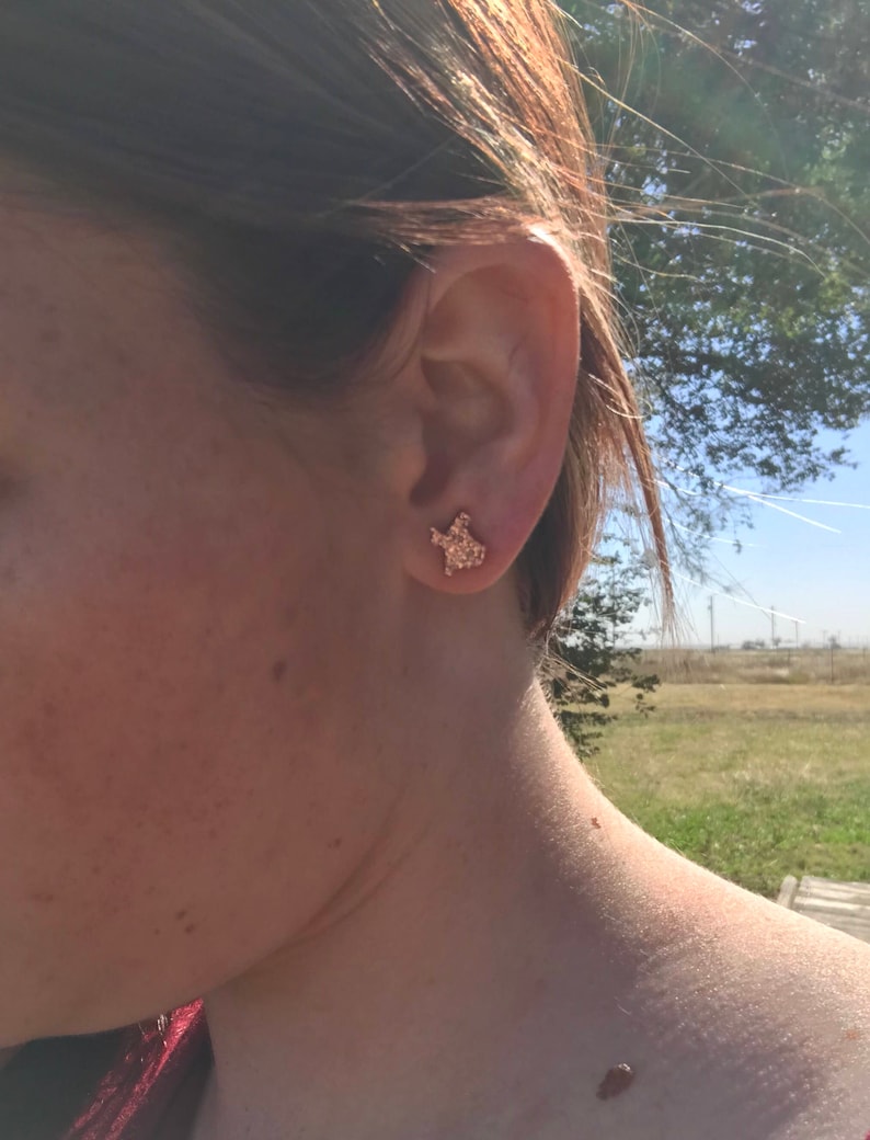 Glitter texas studs sparkle earrings state gift rose gold | Etsy