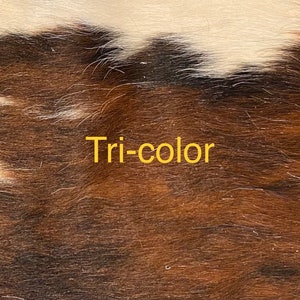 Cowhide Letter, Home Decor, Western, Rodeo, Cowgirl, Cattle, Initial ...