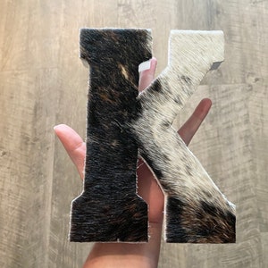 Cowhide Letter, Home Decor, Western, Rodeo, Cowgirl, Cattle, Initial ...