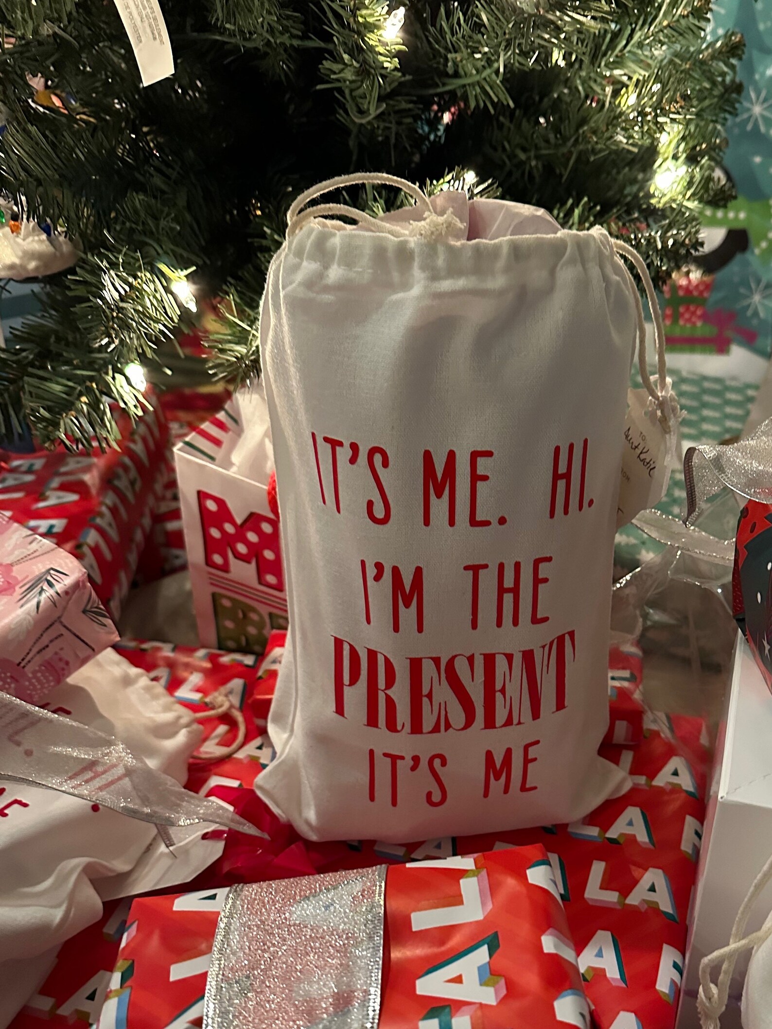 It's Me Hi I'm the Present It's Me Gift Bag|gift Holder for Teen|taylor ...