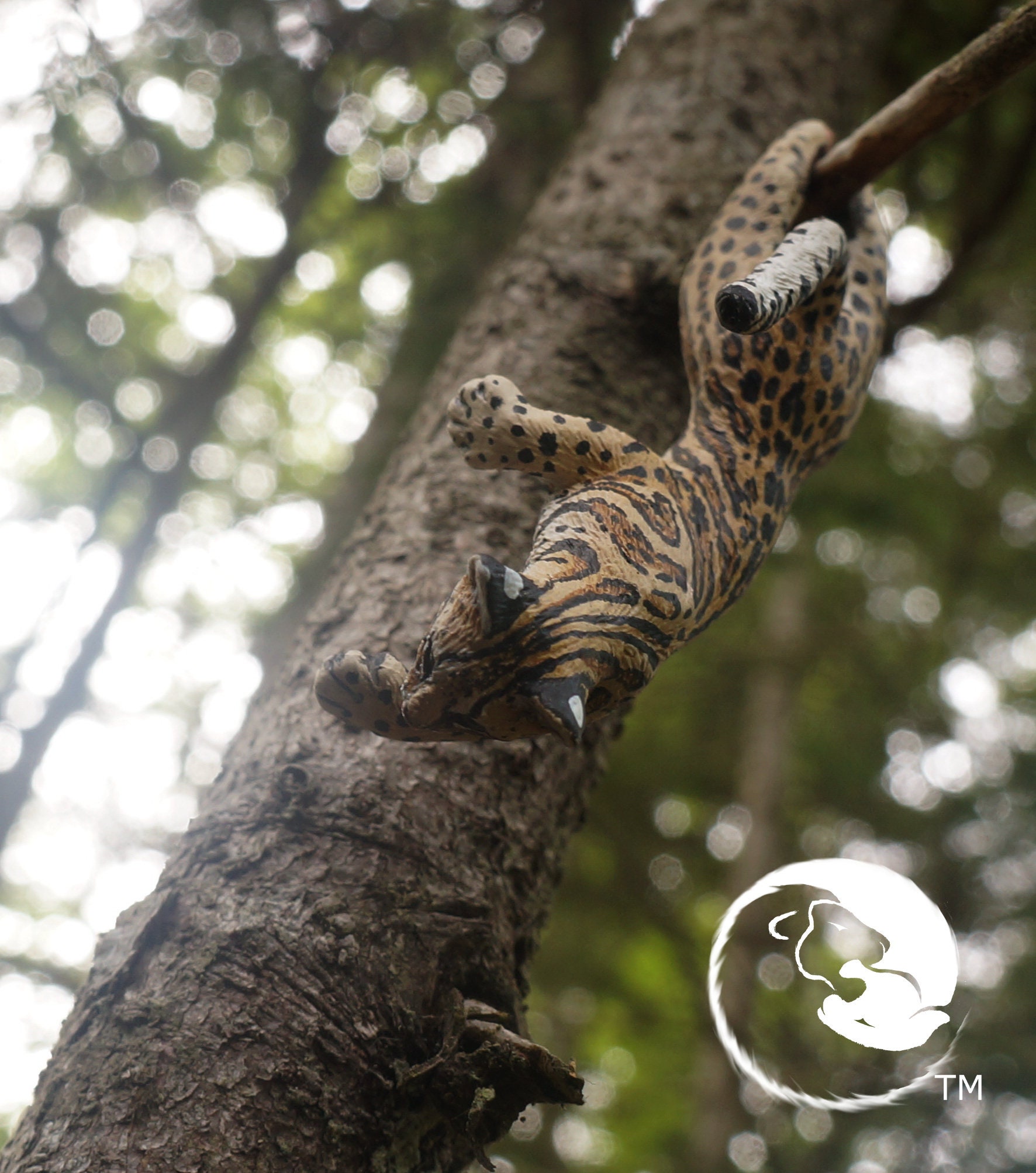 Margay-the Complete Feline Series - Etsy