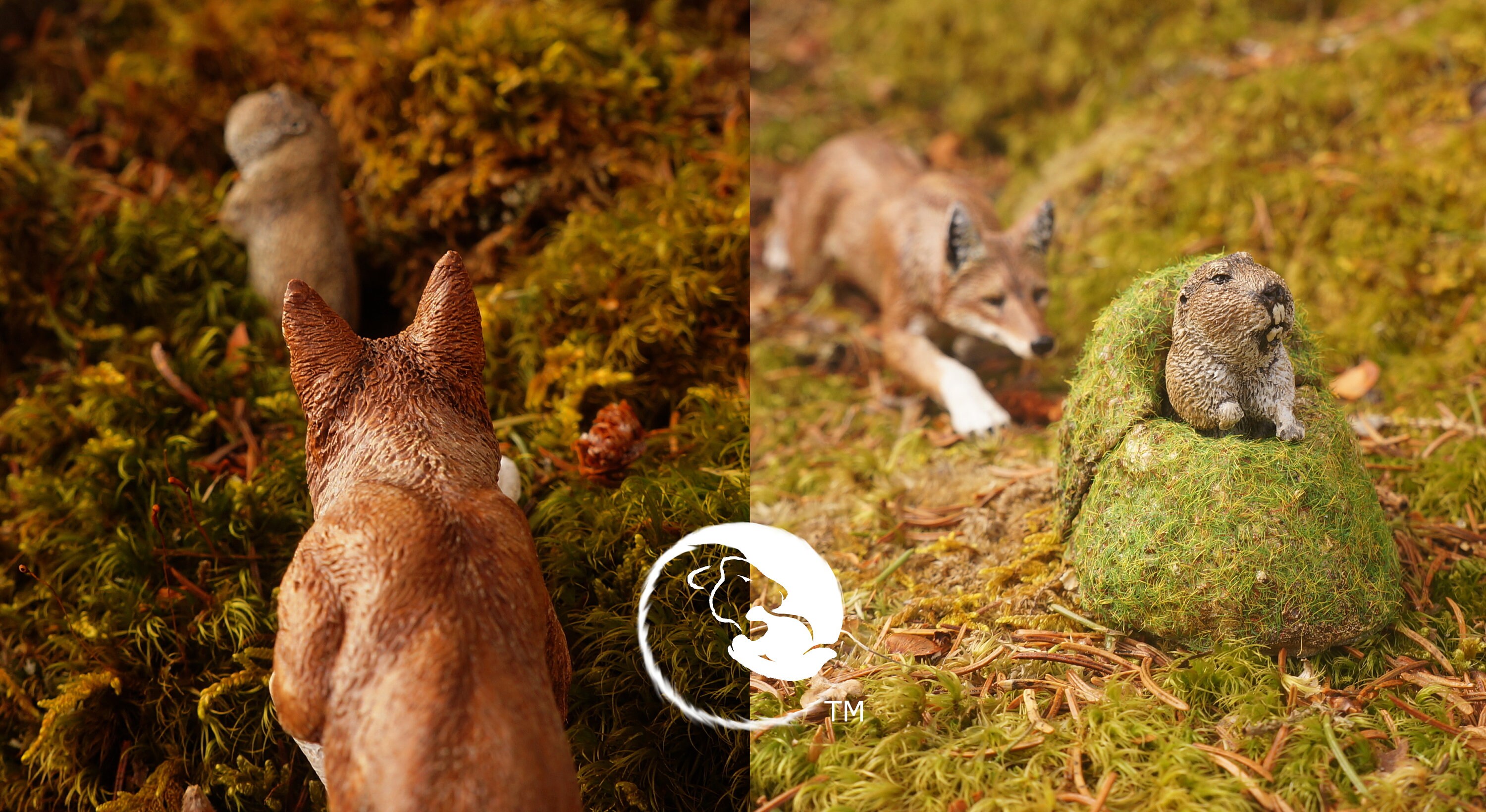 Ethiopian Wolf Hunting Big Headed Mole Rat-the 1:10 Canids - Etsy