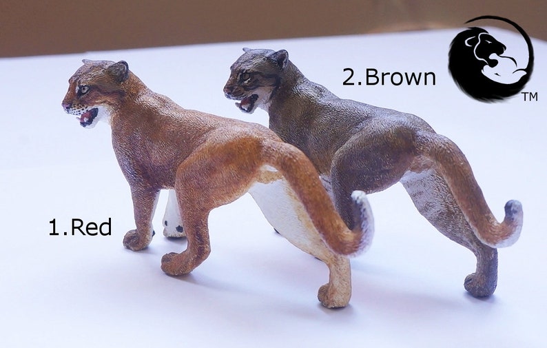 Bay Cat-the Complete Feline Series - Etsy
