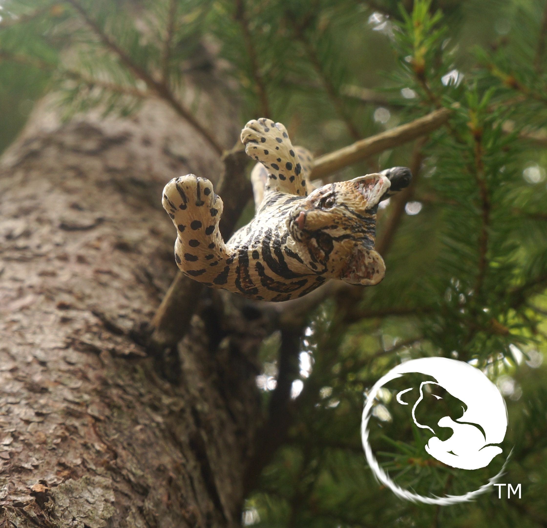 Margay-the Complete Feline Series - Etsy