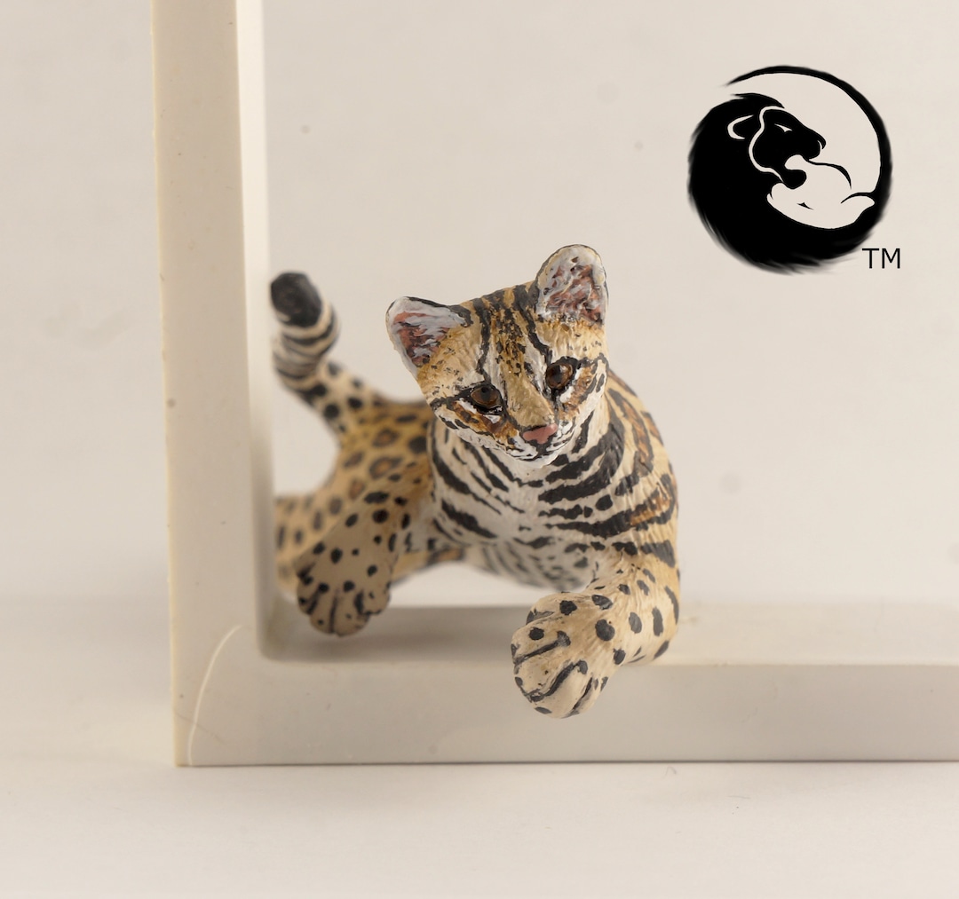 Margay-the Complete Feline Series - Etsy