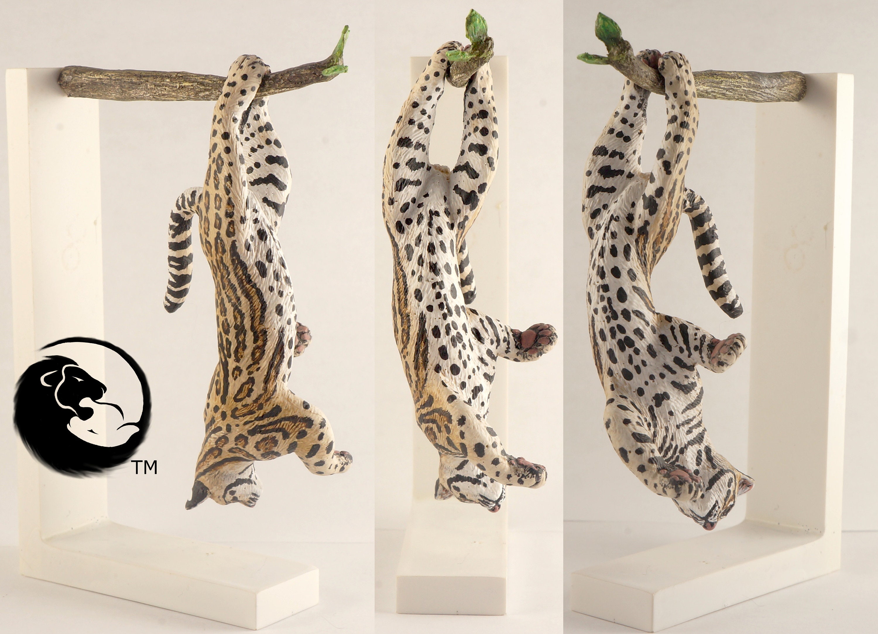 Margay-the Complete Feline Series - Etsy