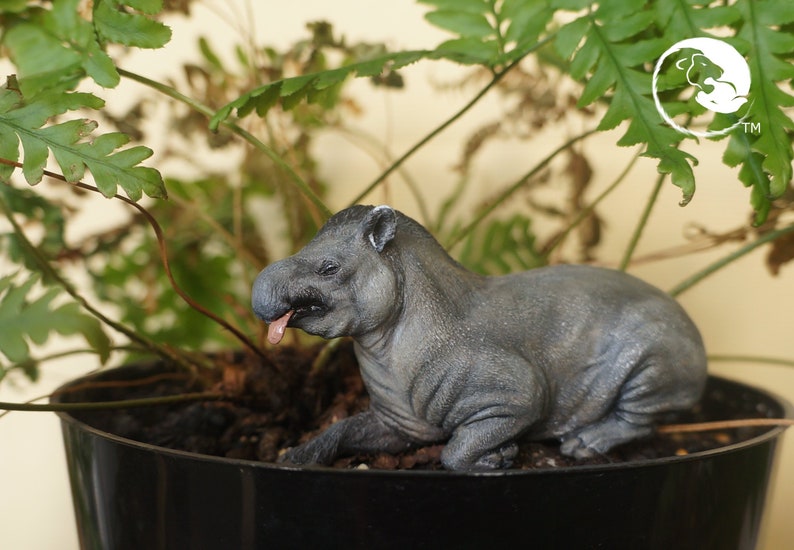 Dynamic poses vs. Static poses