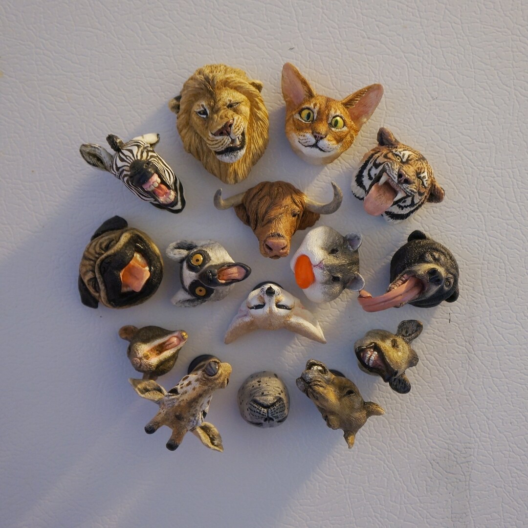 Funny Animal Face Magnets-part A - Etsy
