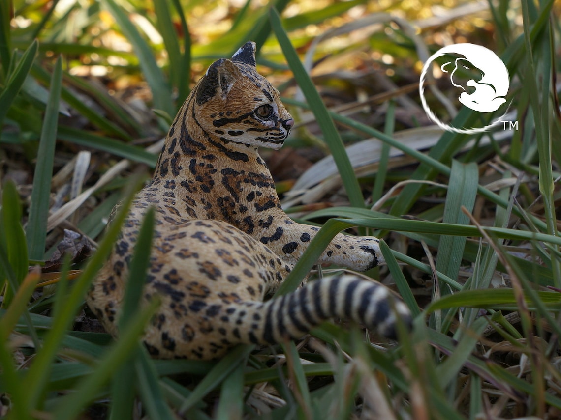 Oncilla-The Complete Feline Series | Etsy