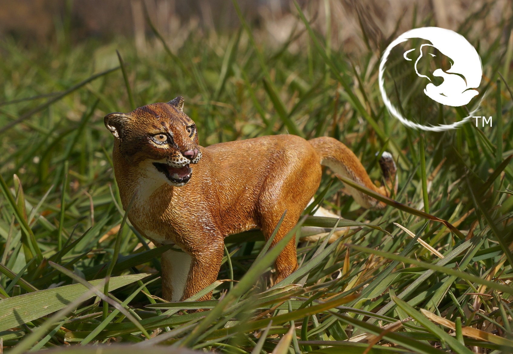 Bay Cat-the Complete Feline Series | Etsy