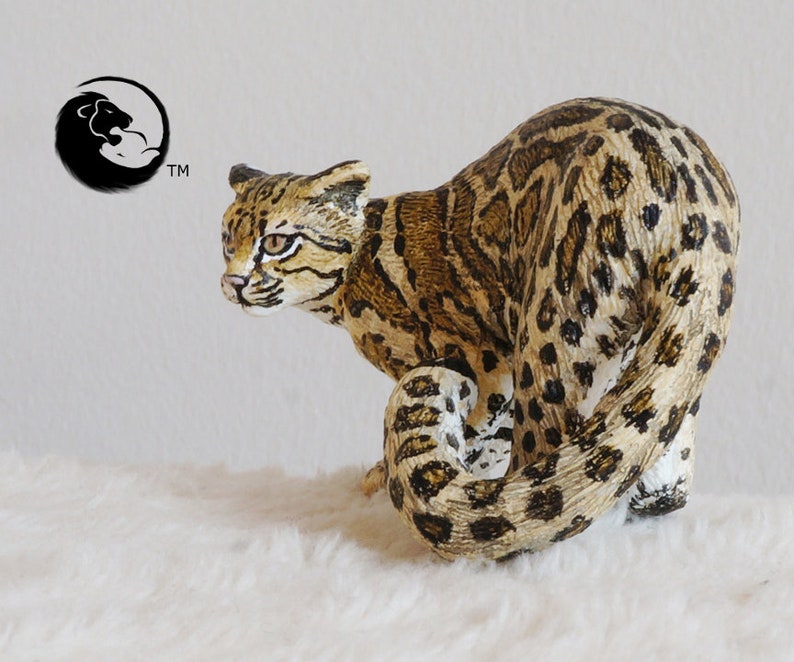 Marbled Cat-the Complete Feline Series | Etsy