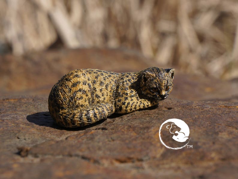 Kodkod-the Complete Feline Series - Etsy