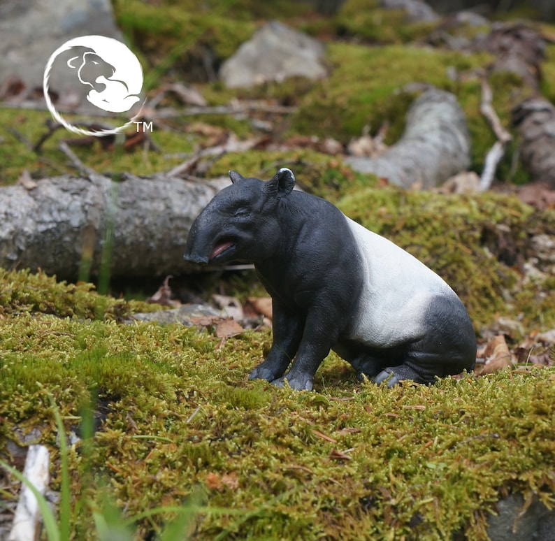 Dynamic poses vs. Static poses