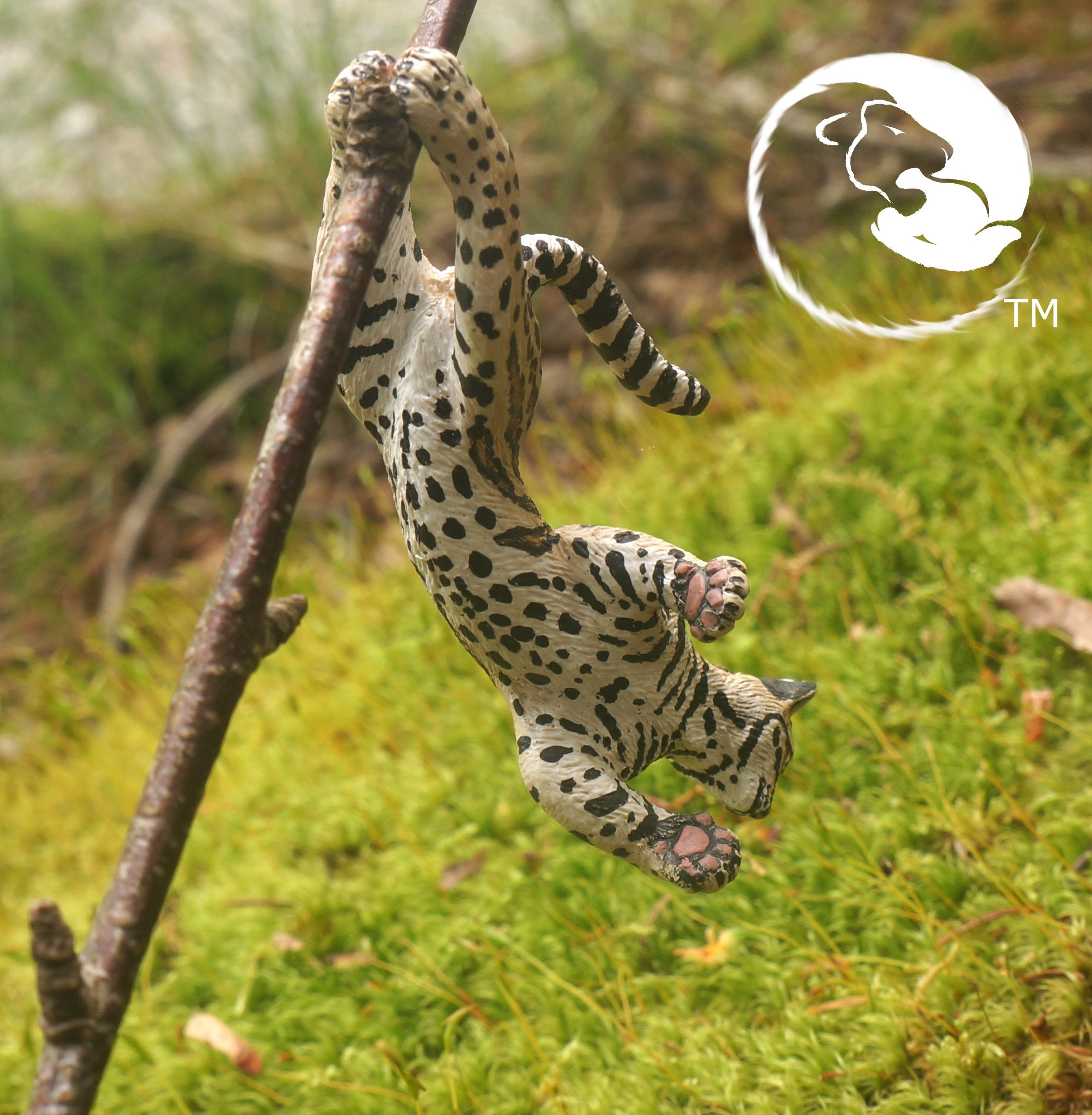 Margay-the Complete Feline Series - Etsy