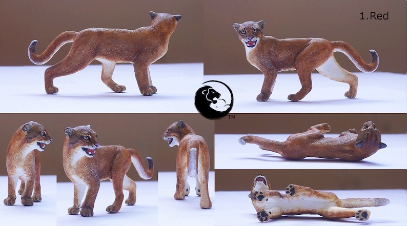 Bay Cat-the Complete Feline Series | Etsy