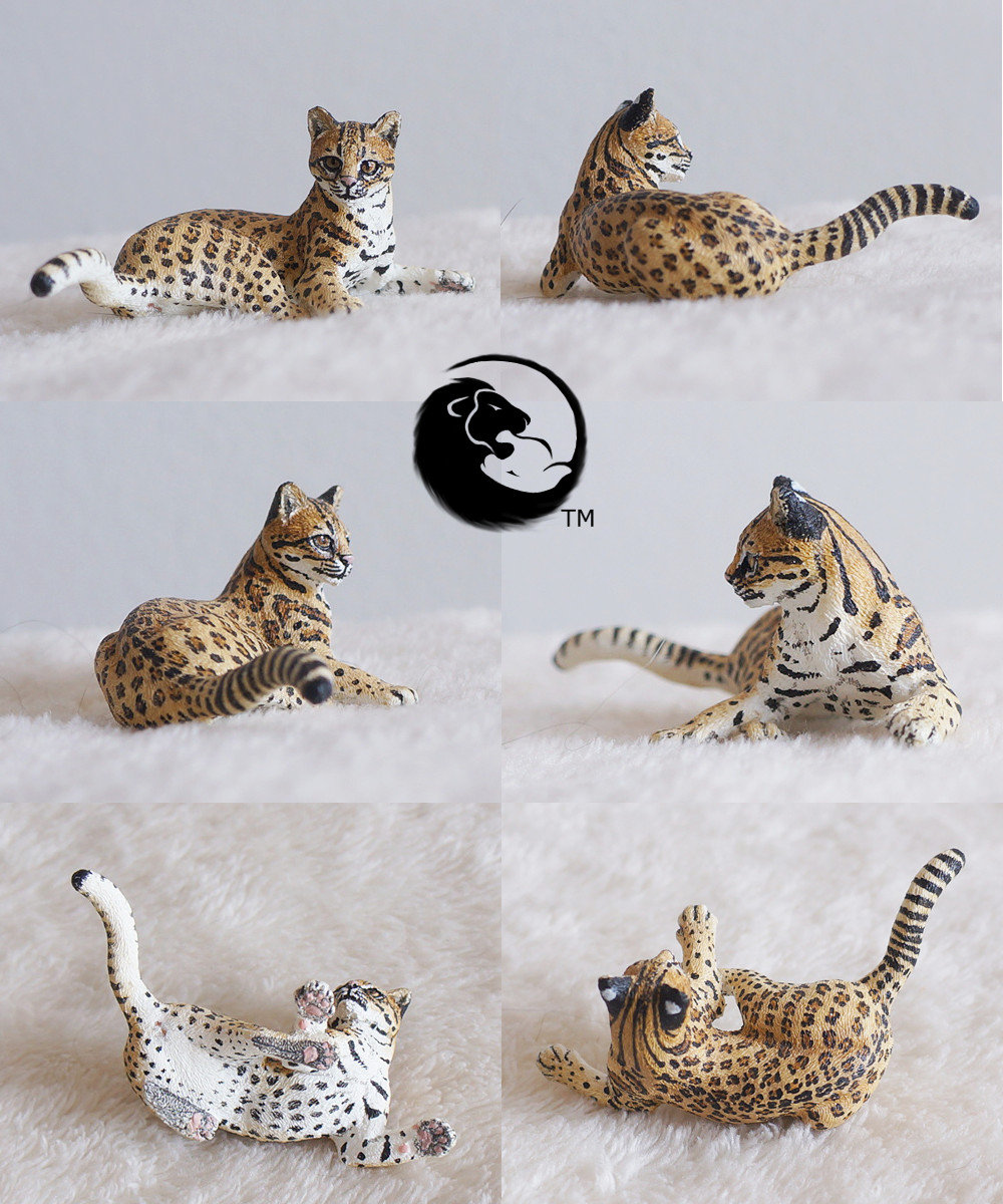 Oncilla-the Complete Feline Series - Etsy