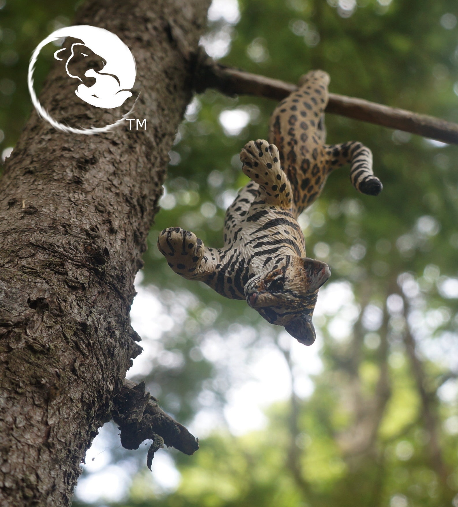 Margay-the Complete Feline Series - Etsy