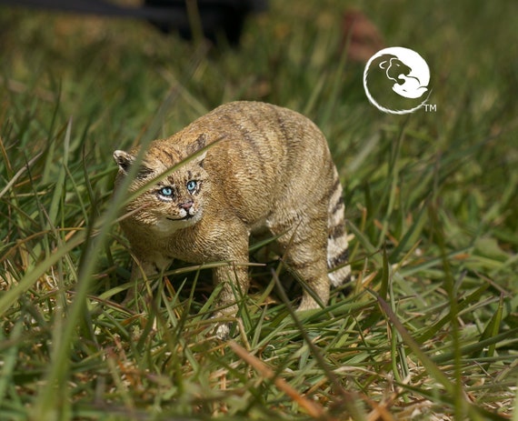 Chinese Desert Cat-the Complete Feline Series | Etsy