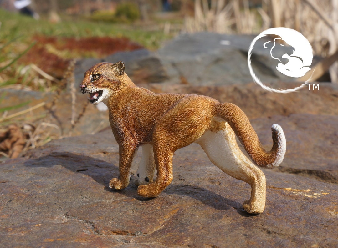 Bay Cat-the Complete Feline Series - Etsy