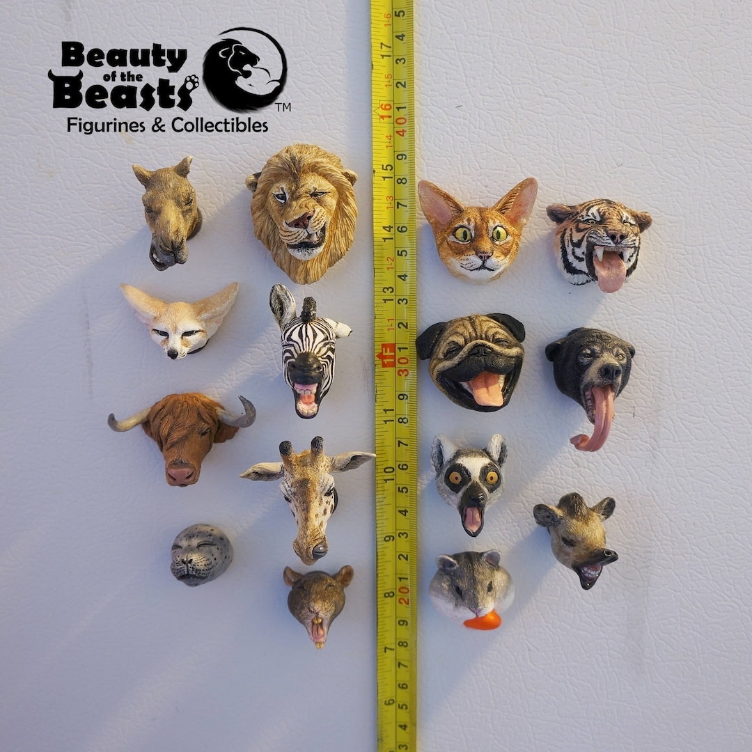 Funny Animal Face Magnets-part B - Etsy