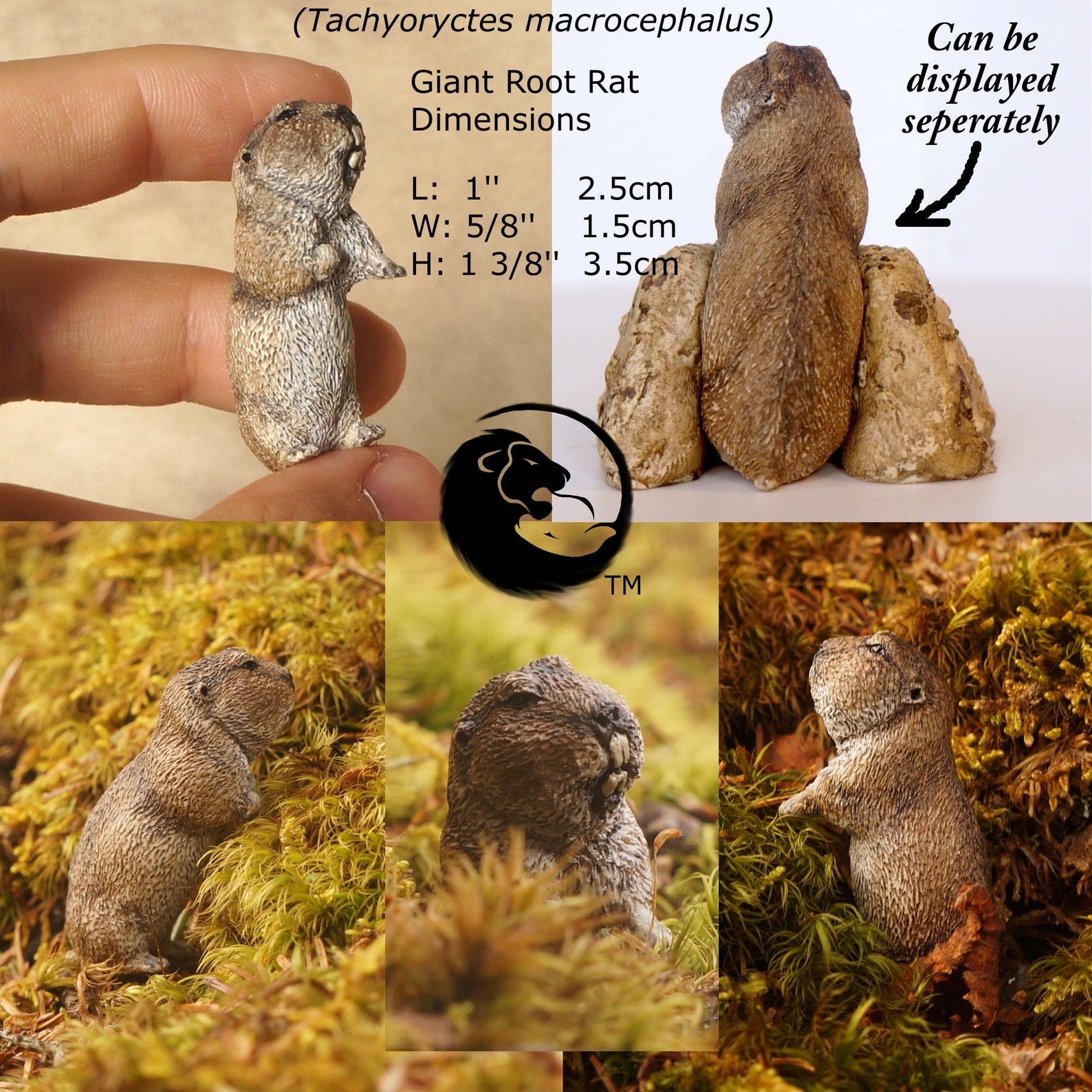Ethiopian Wolf Hunting Big Headed Mole Rat-the 1:10 Canids - Etsy UK