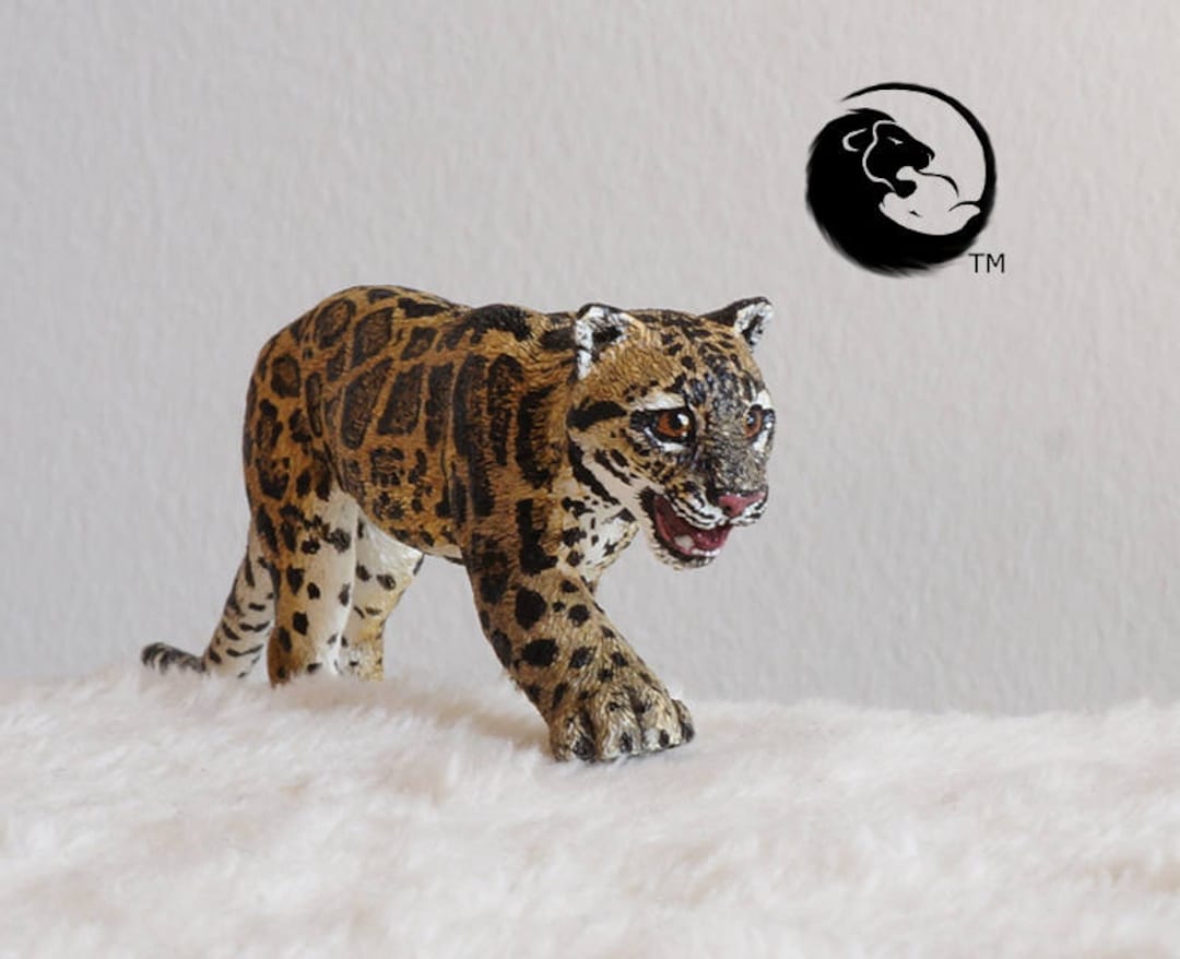 Sunda Clouded Leopard-the Complete Feline Series - Etsy