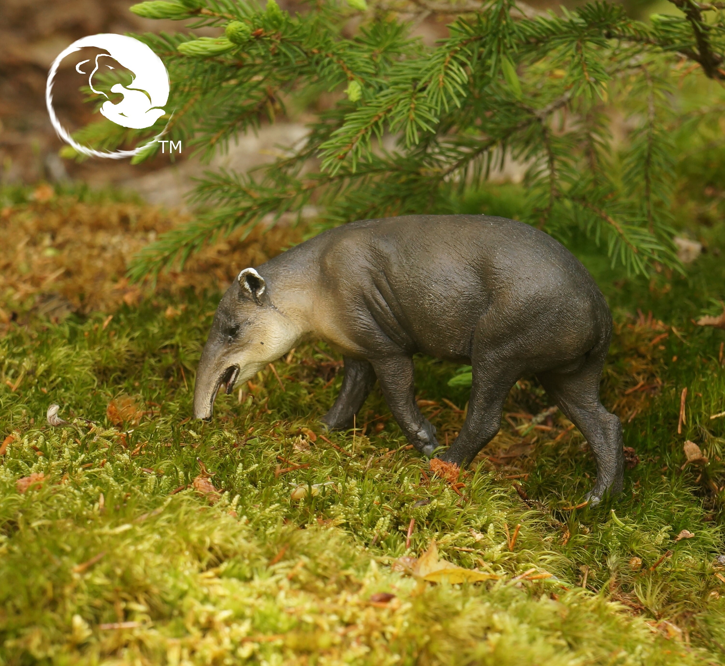 Central American Tapir/baird's Tapir-the 1:20 Tapirs | Etsy Singapore