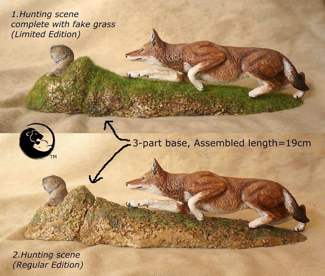 Ethiopian Wolf Hunting Big Headed Mole Rat-the 1:10 Canids - Etsy