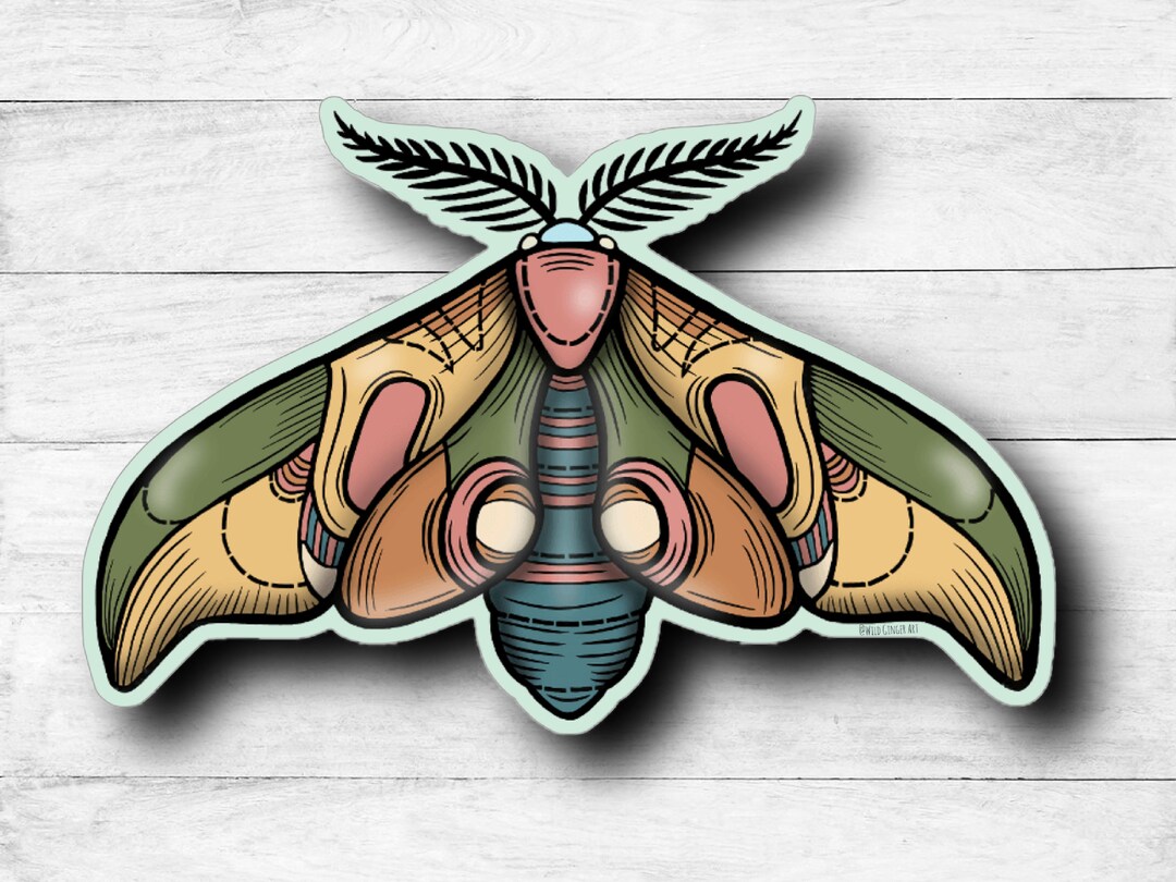 Moth Sticker: Weatherproof Vinyl Decal - Etsy