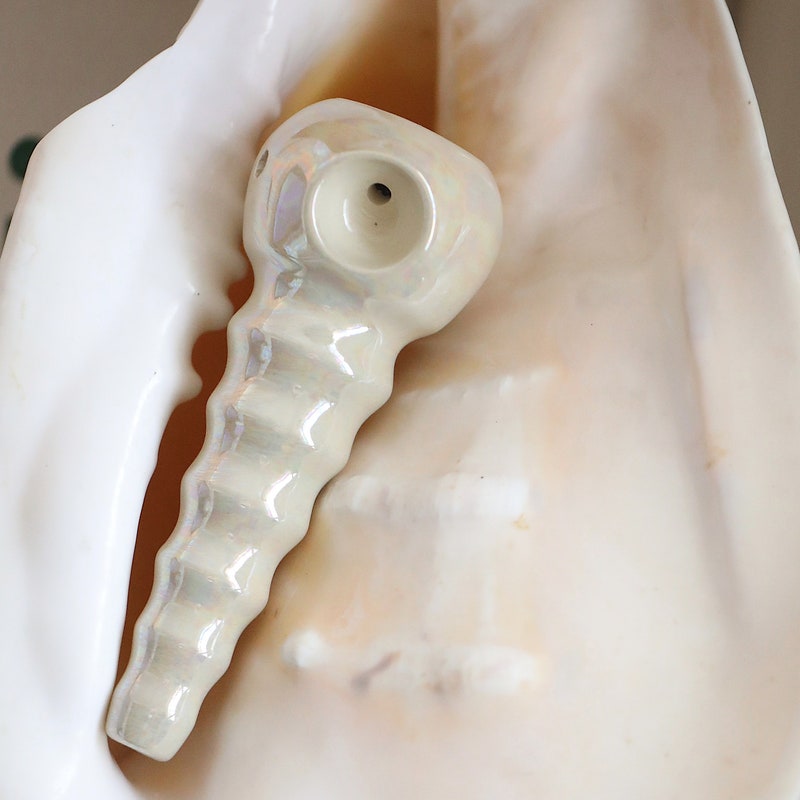 Shell Pipe - Etsy