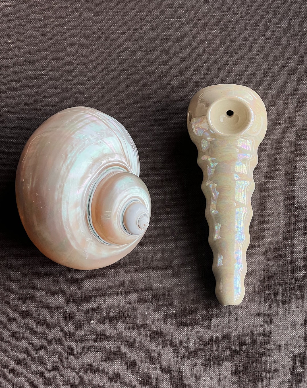 Pearlescent Spiral Shell Pipe - Etsy