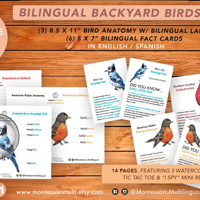 Spanish Homeschool - Etsy