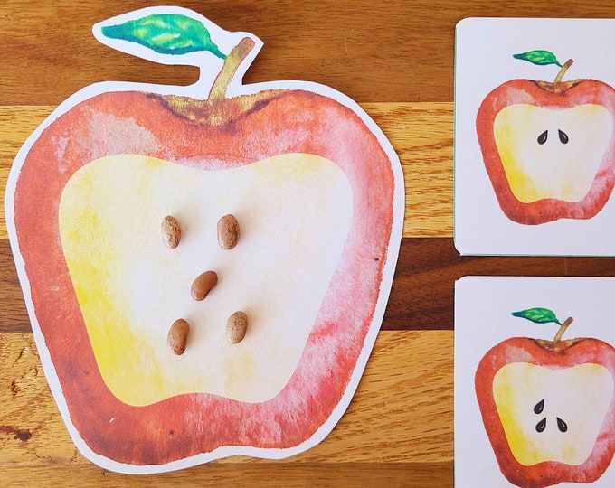 Apple Seed Counting Cards - Montessori Math PRINTABLE - Fall Math ...