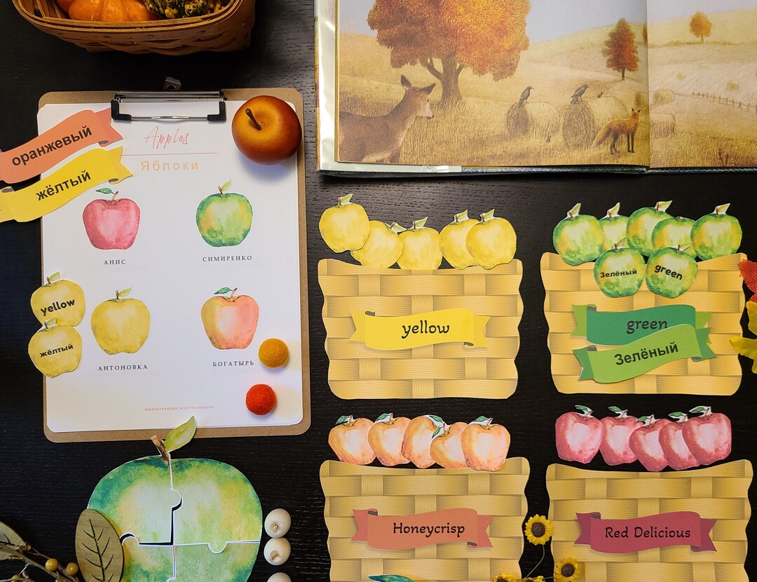 Apple Color Sorting Activity: Bilingual Russian, Montessori Math (PDF ...