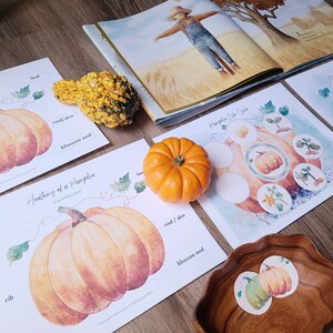 Vintage Halloween | Pumpkin Life Cycle | Pumpkin Anatomy | Busy Book ...