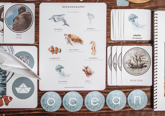 Ocean Montessori Printable Oceanography Bilingual Spanish - Etsy