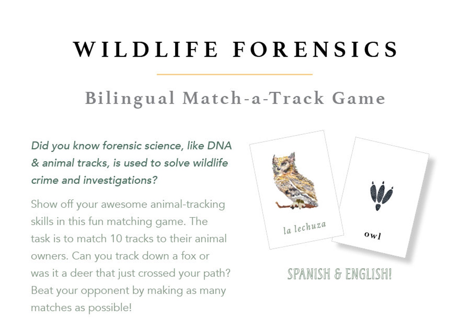 Forensic Science Detective Pack Bilingual SPANISH Matching - Etsy