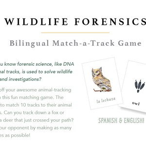 Forensic Science Detective Pack | Bilingual SPANISH | Matching ...