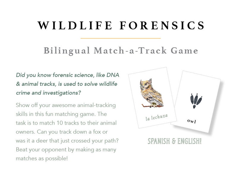 Wildlife Forensics Detective Game: Bilingual Animal Tracks, Paper Dolls ...