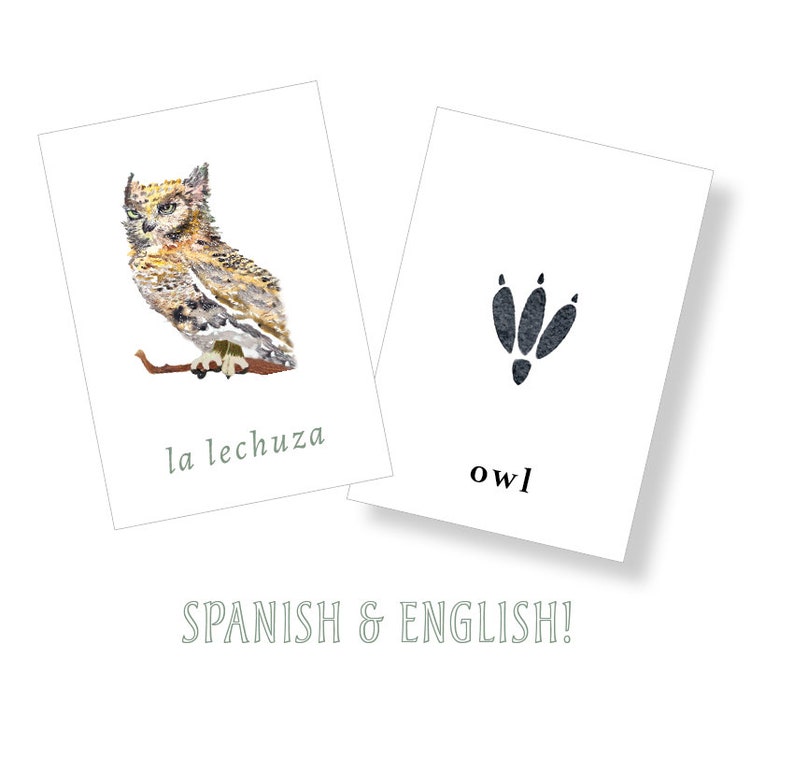 Forensic Science Detective Pack | Bilingual SPANISH | Matching ...