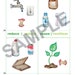 EARTH Day Ecology Nature - Montessori Science - Watercolor Art ...