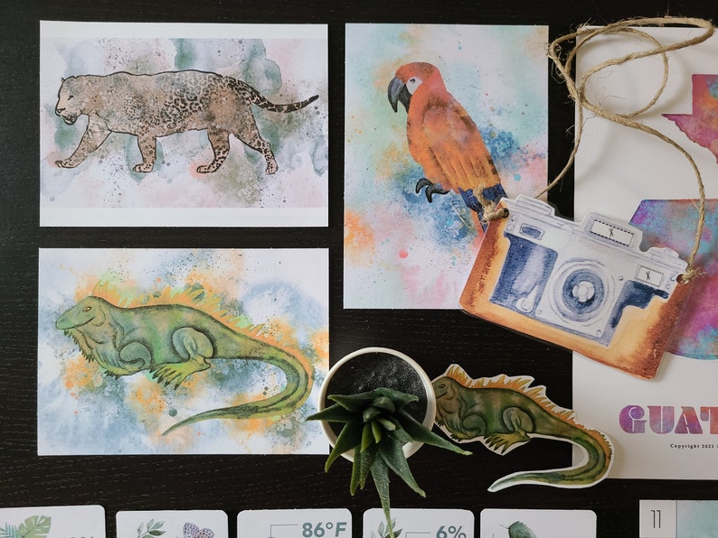 Rainforest Animal Printable Montessori Kindergarten | Etsy