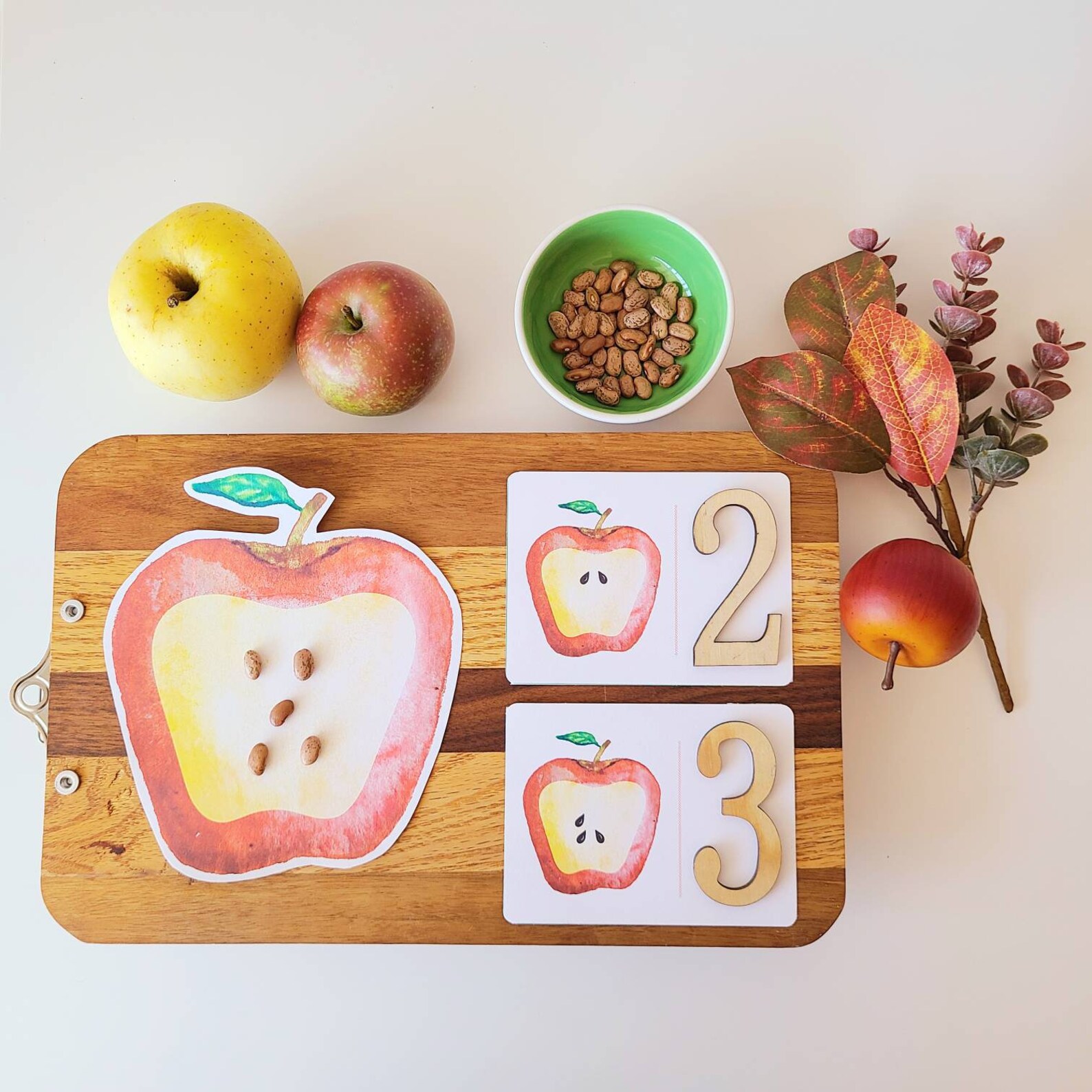 Apple Seed Counting Cards Montessori Math PRINTABLE Fall - Etsy