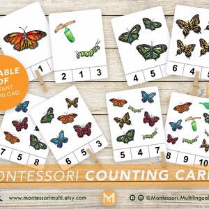 COUNTING BUTTERFLIES • Life Cycle • Montessori Counting Cards • Clip ...