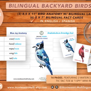 Bilingual SPANISH Backyard Birds of North America - Homeschool ...