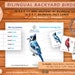 Bilingual SPANISH Backyard Birds of North America - Homeschool ...