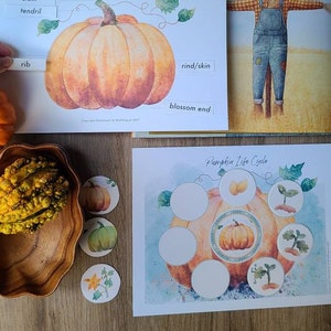 Vintage Halloween | Pumpkin Life Cycle | Pumpkin Anatomy | Busy Book ...