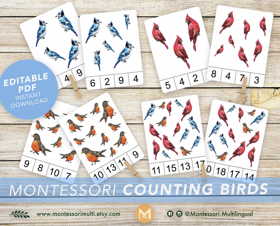 Montessori Counting Cards: Backyard Birds Clip Cards (editable PDF ...